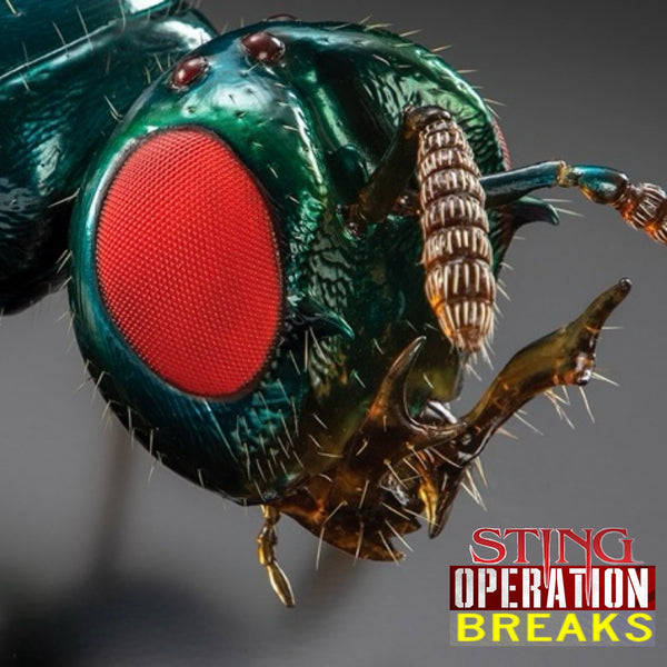 60 STING OPERATION BREAKS UNRELEASED DIRT STYLE RECORDS DIGITAL DOWNLO ...