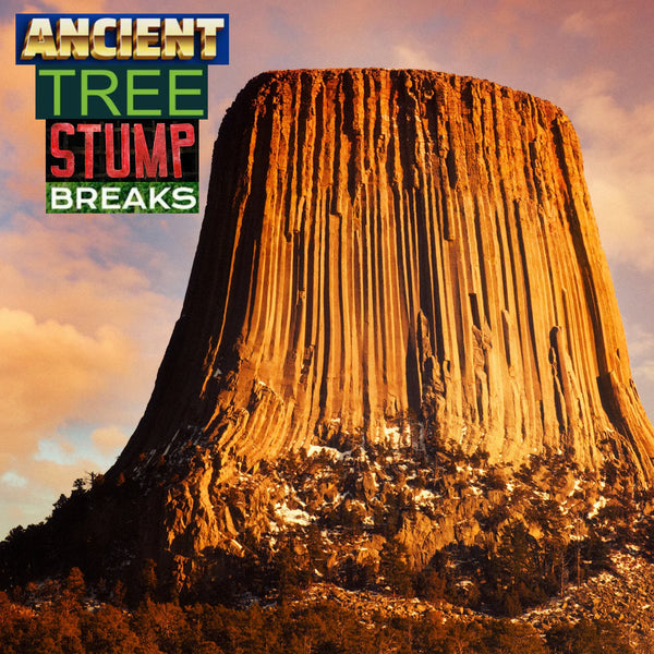 24 ANCIENT TREE STUMP BREAKS! Unreleased Dirt Style Records Digital Do ...