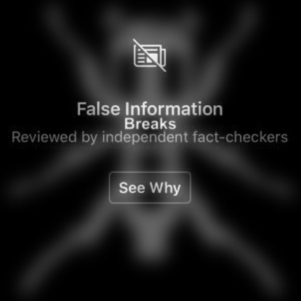 27 FALSE INFORMATION BREAKS Unreleased Dirt Style Records Digital Down ...