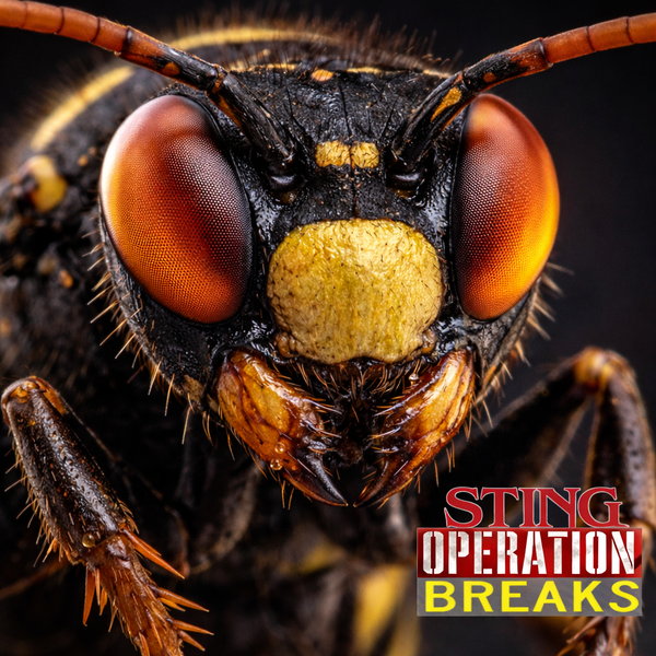 60 STING OPERATION BREAKS UNRELEASED DIRT STYLE RECORDS DIGITAL DOWNLO ...